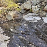 Rincon Peak Trail, Arizona - 159 Reviews, Map | AllTrails