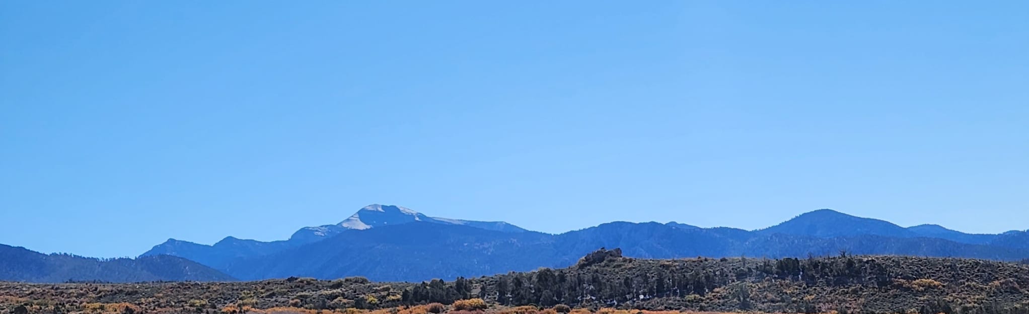 Wheeler Pass OHV Trail: 180 Reviews, Map - Nevada | AllTrails