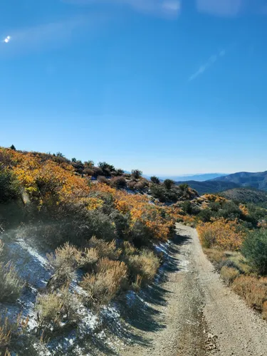 10 Best Off Road Driving Trails in Nevada | AllTrails