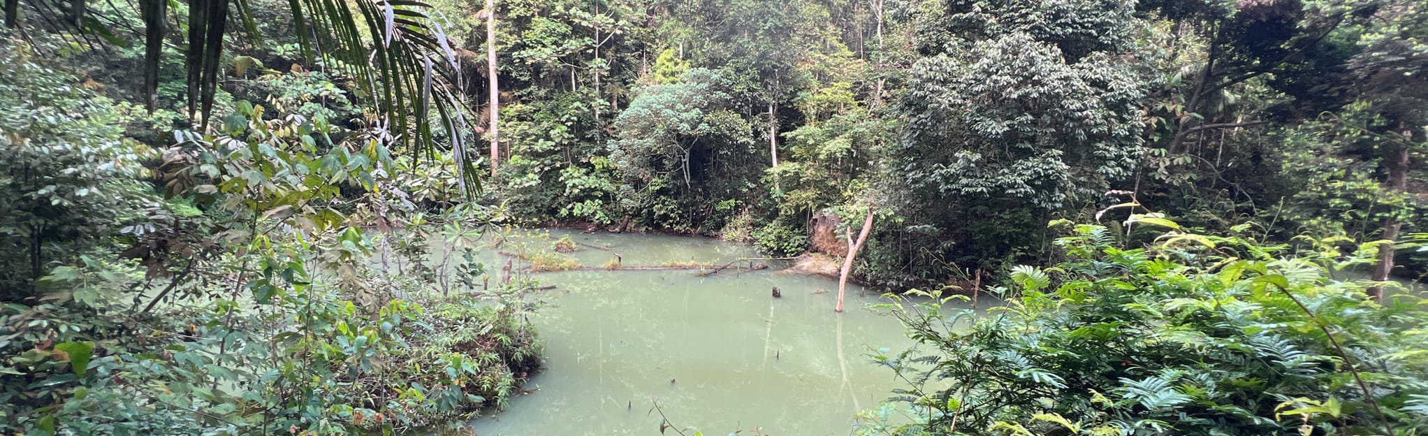 Gunung Pulai - Kampung Sungai Loop: 18 Reviews, Map - Johor, Malaysia ...