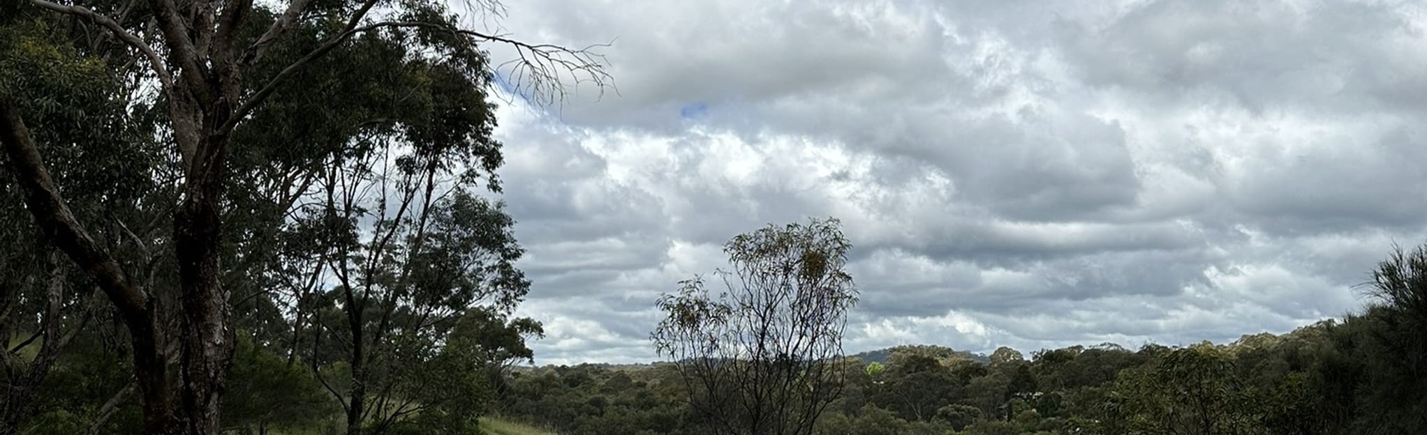 Sturt Gorge via Blackwood Reserve and Flagstaff Hill, South Australia ...