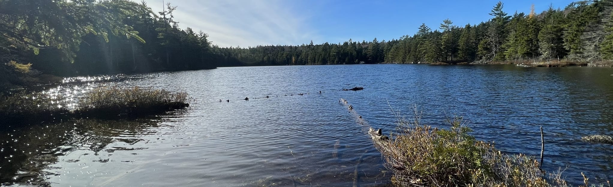 Doubletop Mountain Trail, Maine - 124 Reviews, Map | AllTrails