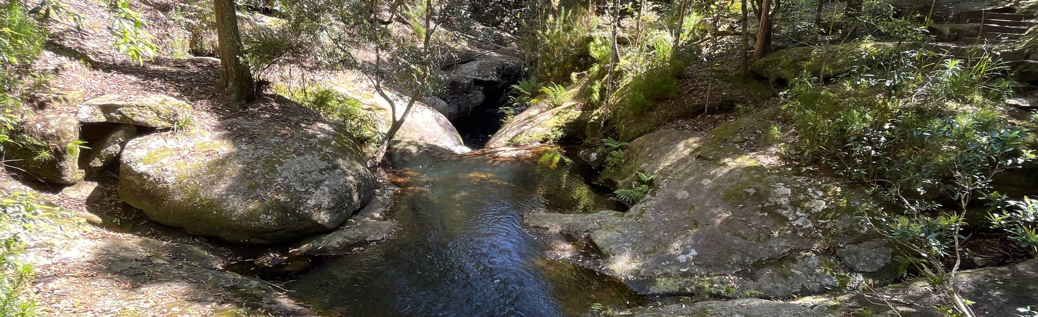 Watagans Boardinghouse Dam Loop, New South Wales, Australia - 5 Reviews ...
