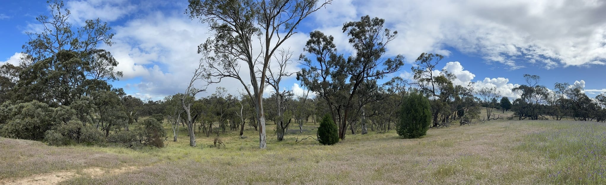 Tyakil Nature Walk, Victoria, Australia - 4 Reviews, Map | AllTrails