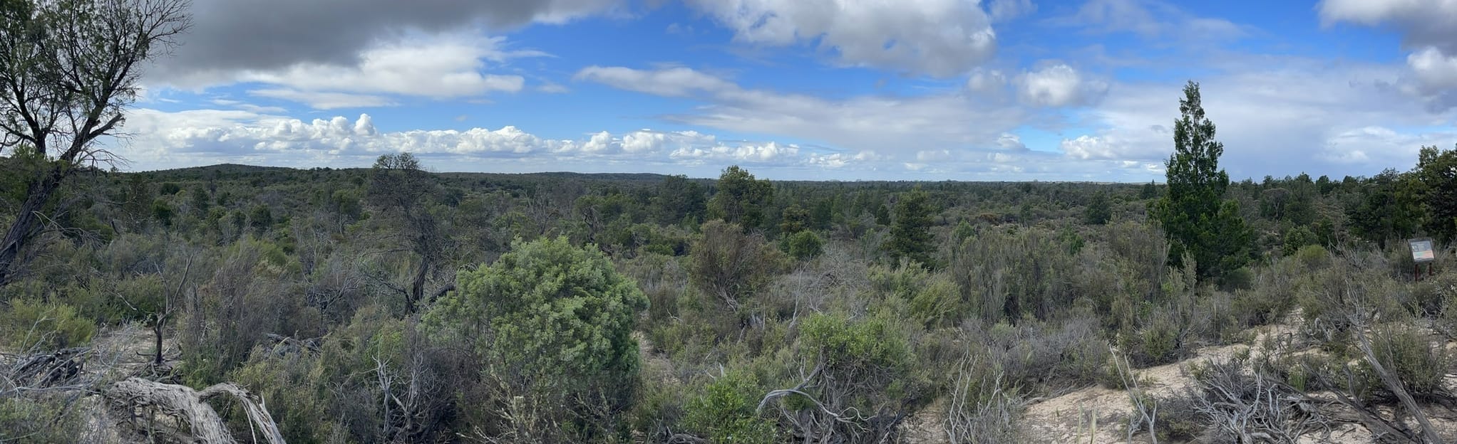 Black Flat, Tyakil, Meridian, Everard and Cameron Track : 255 photos ...