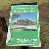 Wonderboom Hiking Trail, Gauteng, South Africa - 129 Reviews, Map ...