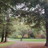Spring Lake Loop, California - 1,362 Reviews, Map | AllTrails
