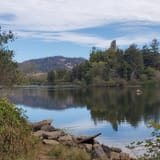 Spring Lake Loop, California - 1,362 Reviews, Map | AllTrails