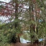 Spring Lake Loop, California - 1,362 Reviews, Map | AllTrails