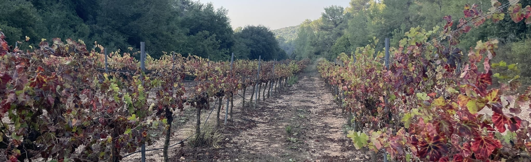 Bar Giora, Tura Ruins, Mount Yaala and Khirbet Beit Itab, Jerusalem ...