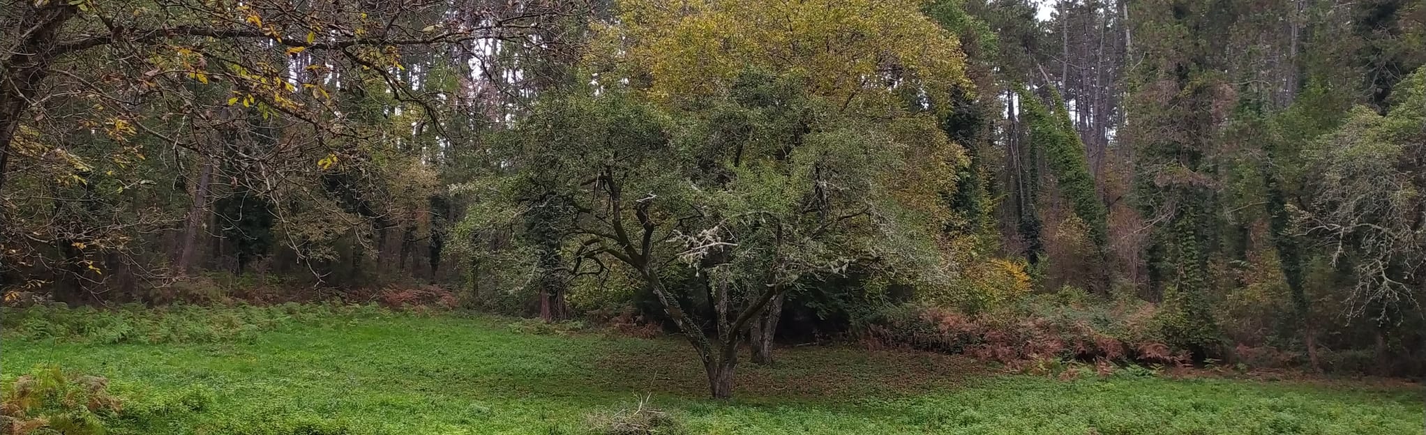 Buje - Triban - Mužići | Map, Guide - Istra, Croatia | AllTrails