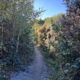 Blean Woods Green Trail, Kent, England - 52 Reviews, Map | AllTrails