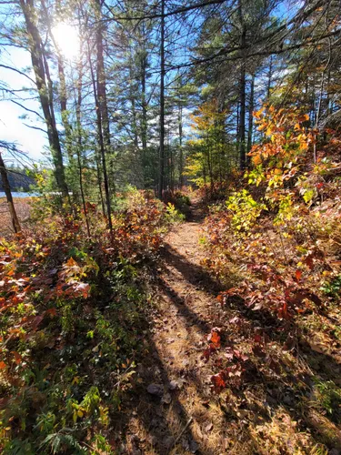 Best Hikes and Trails in Greenfield State Park | AllTrails