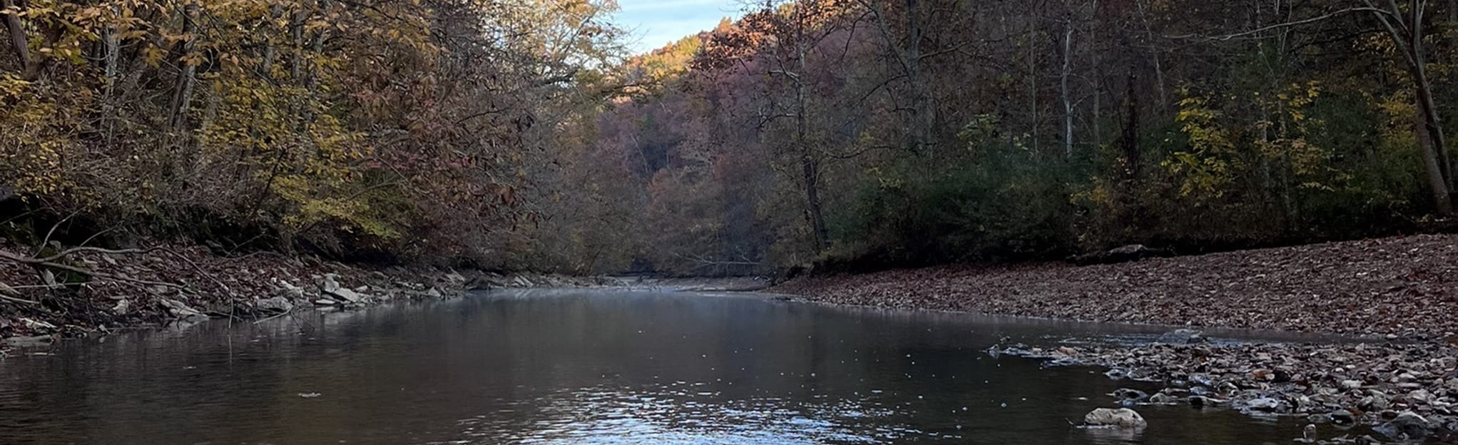 Short Springs Loop Trail - Tennessee | AllTrails