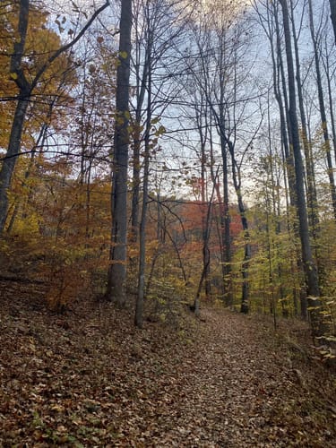 2023 Best trails in Rapidan Wildlife Management Area | AllTrails