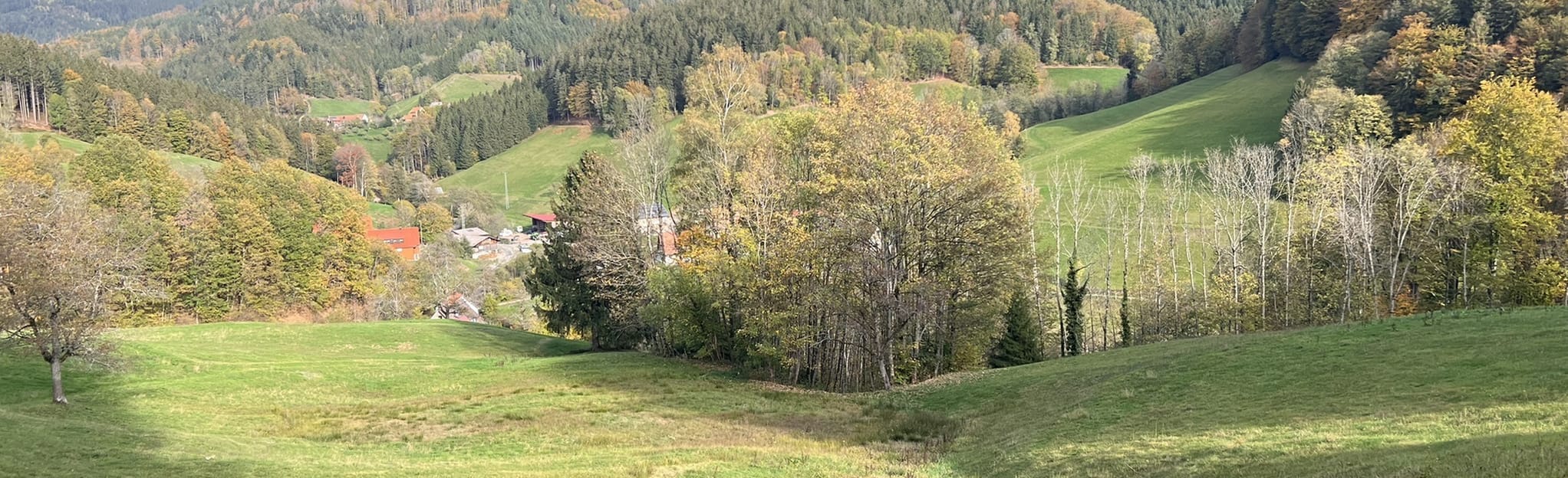 Premium hiking trail: Wiesensteig: 57 Reviews, Map - Baden-Württemberg ...