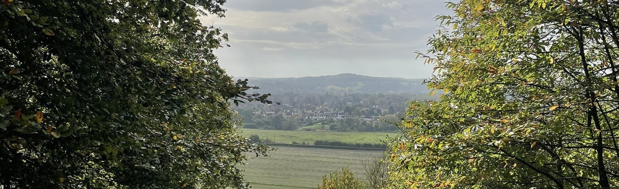 Chantry Wood Circular Walk: 65 foto - Surrey, Inghilterra | AllTrails