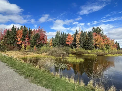 Best Hikes and Trails in Irishtown Nature Park | AllTrails