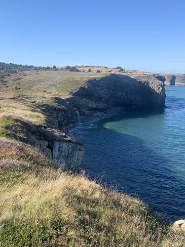 2023 Best Forest Trails in Wabana | AllTrails