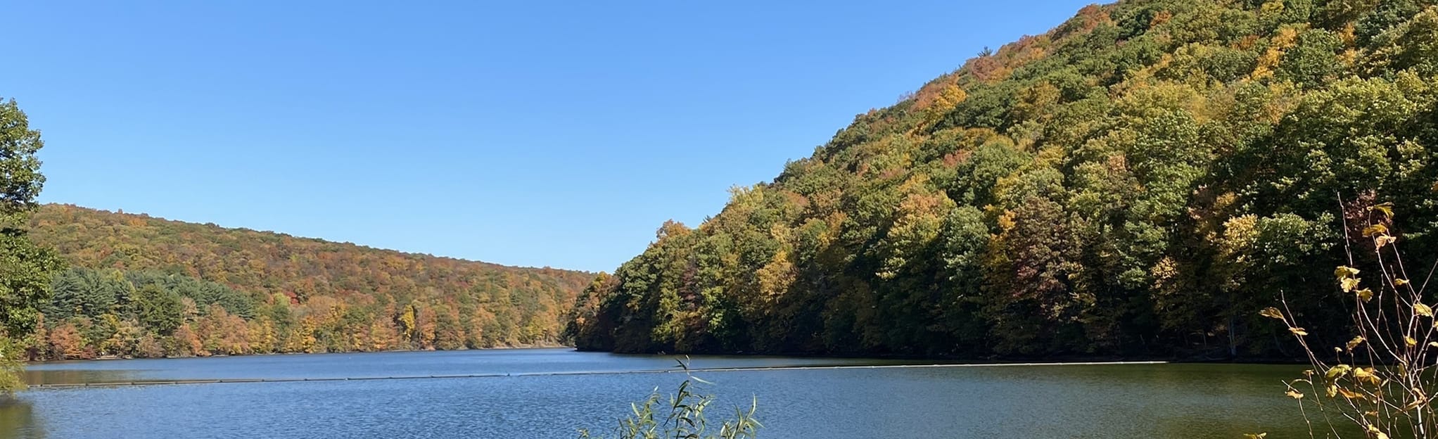 Giuffrida Park Loop, Connecticut - 1,587 Reviews, Map | AllTrails