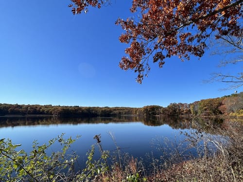 Best Hikes and Trails in Cutler Park Reservation | AllTrails