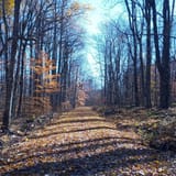 Knox and Kane Rail Trail, Pennsylvania - 11 Reviews, Map | AllTrails