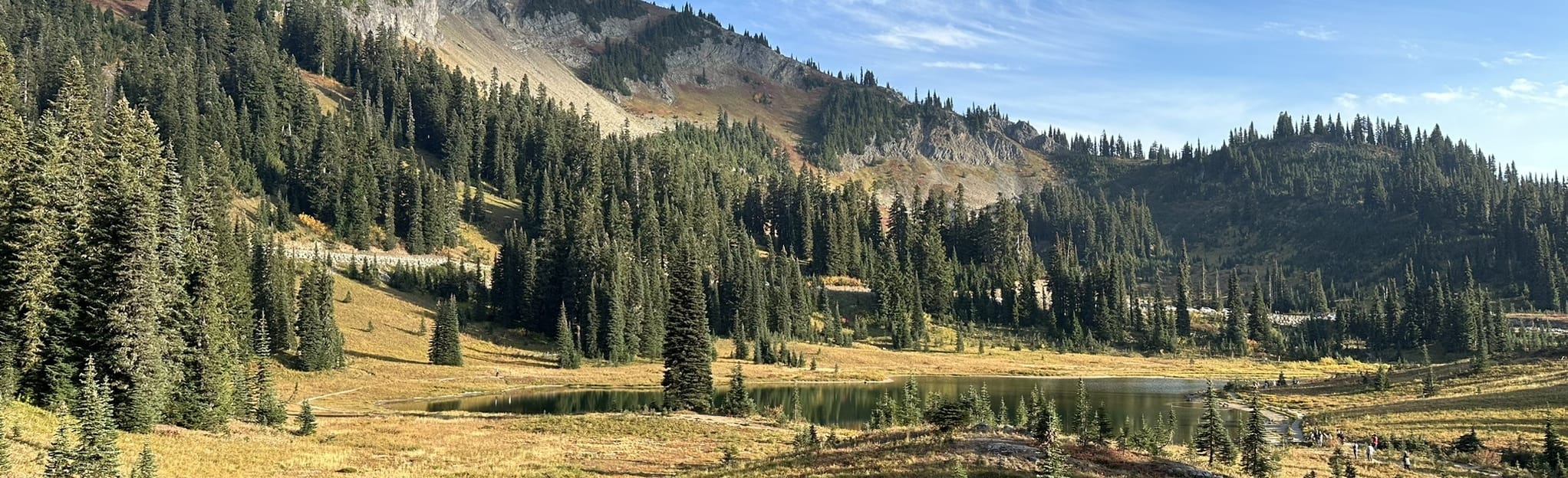 Tipsoo Lake Loop, Washington - 326 Reviews, Map | AllTrails