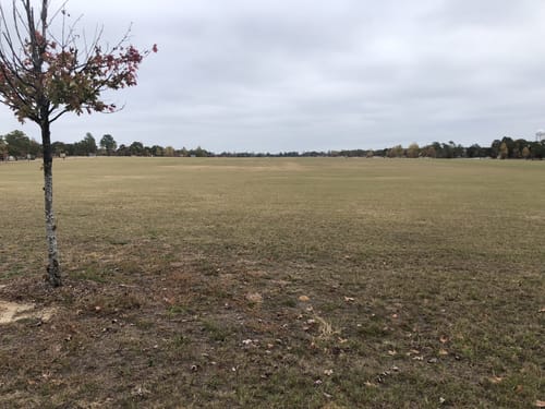 Best Hikes and Trails in Barton Field | AllTrails