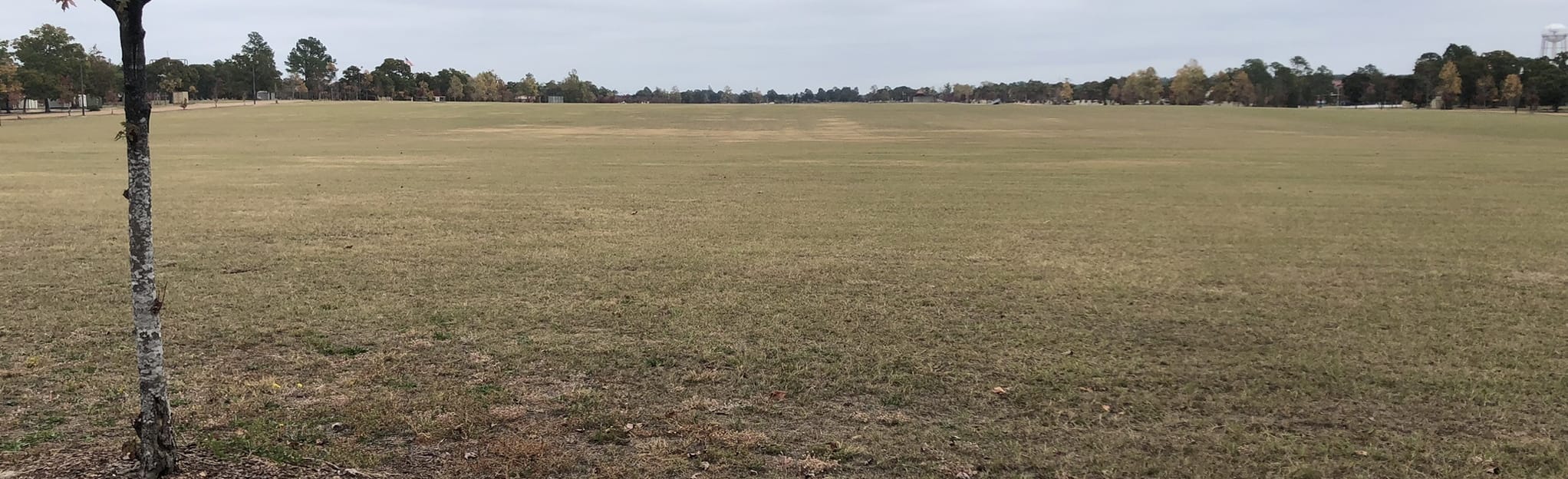 Parade Ground Jogging Path, Georgia - 48 Reviews, Map | AllTrails