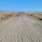 Damon Point State Park Trail, Washington - 476 Reviews, Map | AllTrails