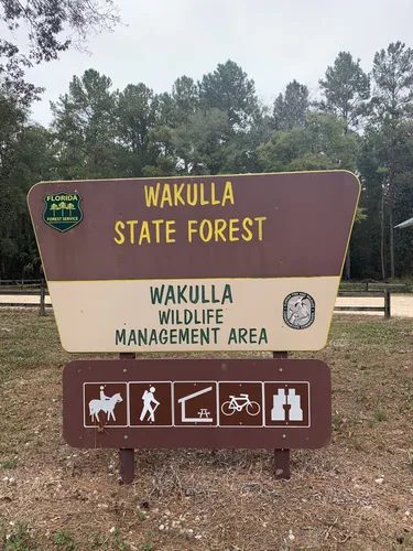Best Hikes and Trails in Wakulla State Forest | AllTrails