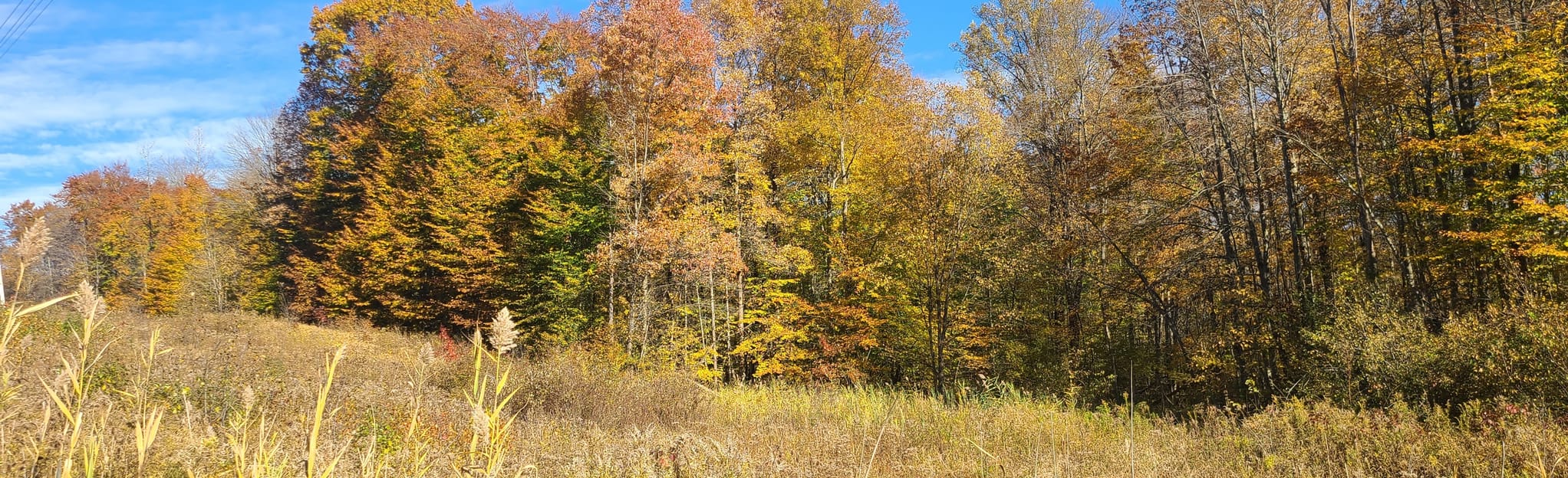 Shaw Woods , Ohio - 144 Reviews, Map | AllTrails