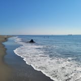 Damon Point State Park Trail, Washington - 476 Reviews, Map | AllTrails