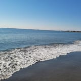 Damon Point State Park Trail, Washington - 476 Reviews, Map | AllTrails