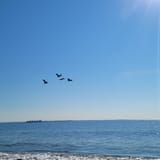 Damon Point State Park Trail, Washington - 476 Reviews, Map | AllTrails