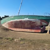 Damon Point State Park Trail, Washington - 476 Reviews, Map | AllTrails