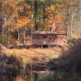 Breakheart Reservation Loop, Massachusetts - 1,024 Reviews, Map | AllTrails