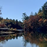 Breakheart Reservation Loop, Massachusetts - 1,024 Reviews, Map | AllTrails