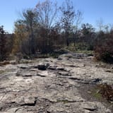 Breakheart Reservation Loop, Massachusetts - 1,024 Reviews, Map | AllTrails