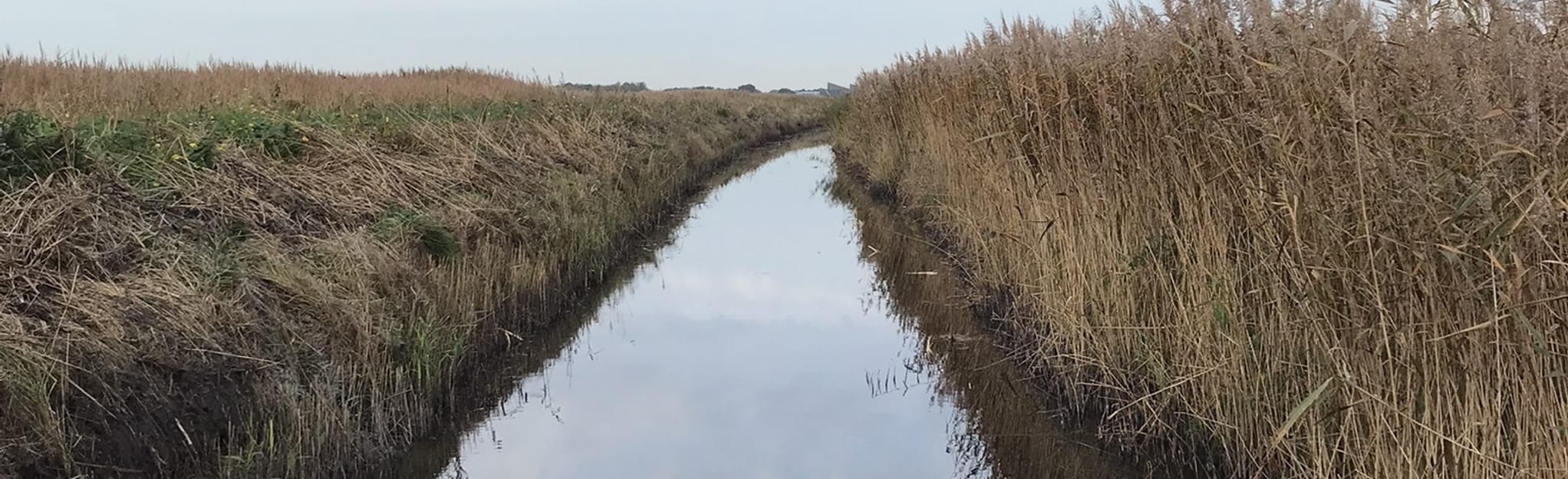 Sufi Trail Heiloo, North Holland, Netherlands - 7 Reviews, Map | AllTrails