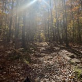Tarrywile Park Trail, Connecticut - 619 Reviews, Map | AllTrails