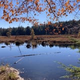 Inman Pond Trail, New York - 274 Reviews, Map | AllTrails