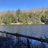 Inman Pond Trail, New York - 274 Reviews, Map | AllTrails