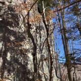 Inman Pond Trail, New York - 274 Reviews, Map | AllTrails