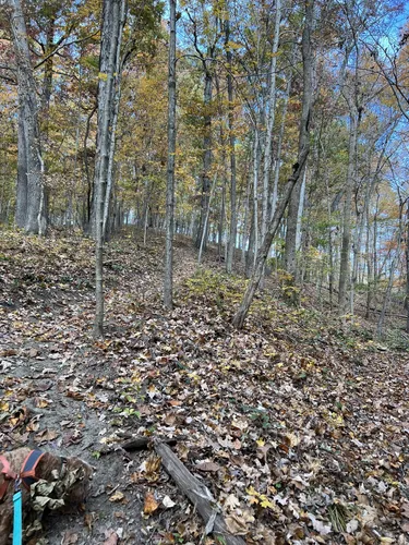Best Hikes and Trails in Dan Daniel Memorial Park | AllTrails