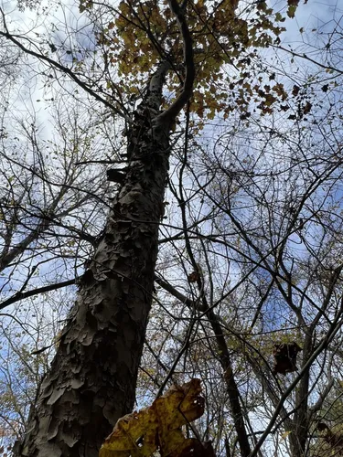 Best Hikes and Trails in Dan Daniel Memorial Park | AllTrails