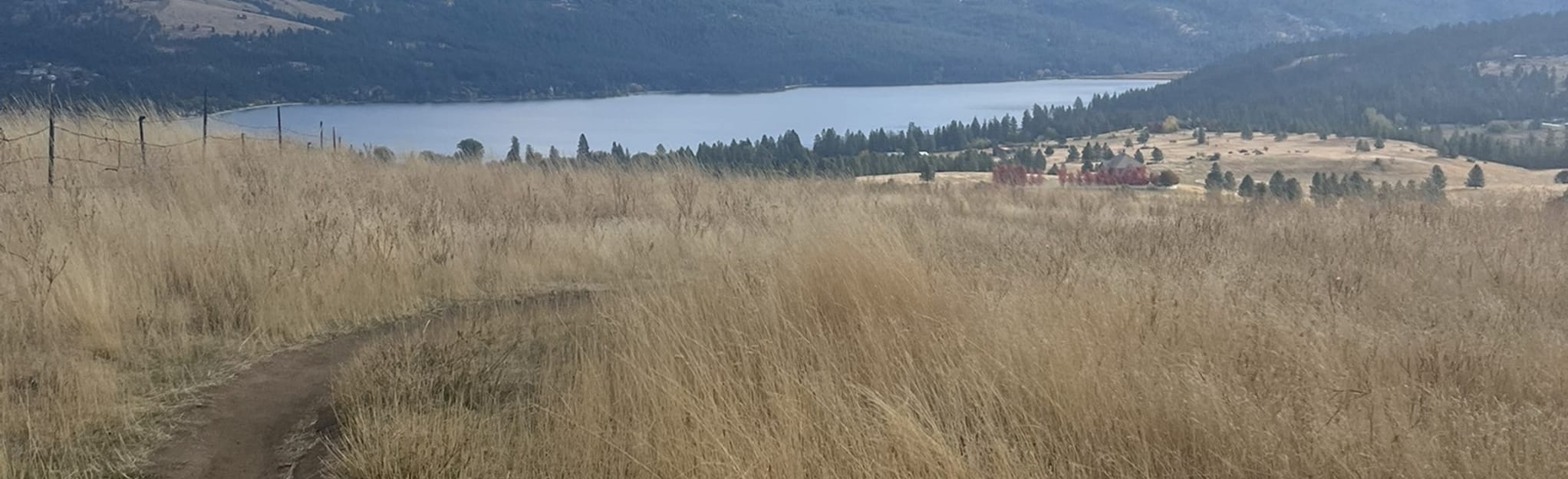 Carlson Hill Loop: 213 Reviews, Map - Washington | AllTrails