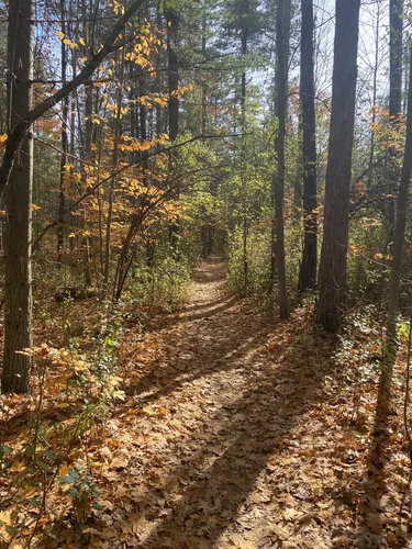 10 Best Hikes and Trails in Durham Regional Forest | AllTrails