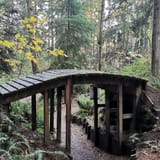 Duthie Mountain Bike Park Loop, Washington - 587 Reviews, Map | AllTrails