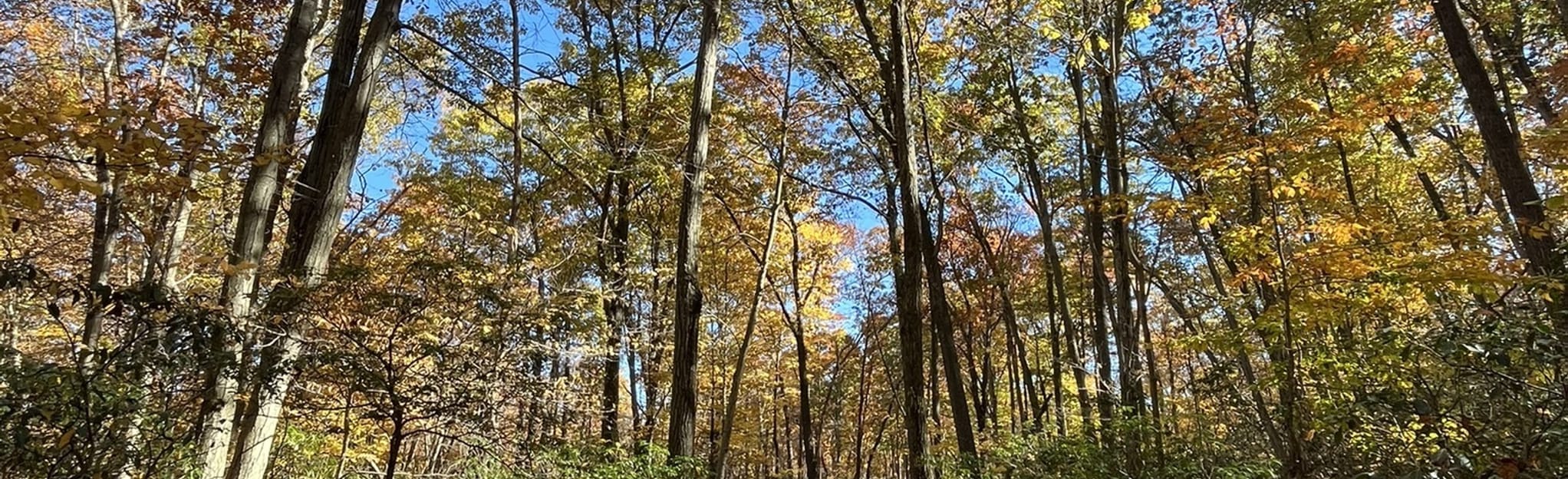 1777 West, Appalachian, Fawn, and Suffern-Bear Mountain Trail Loop ...